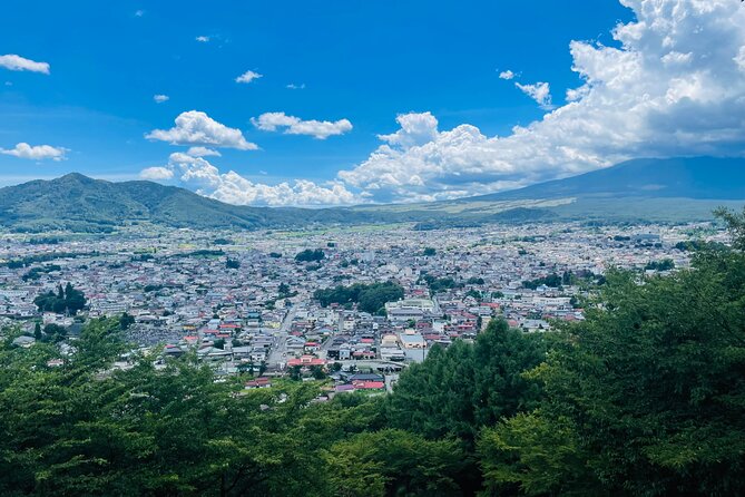 Tokyo: Mount Fuji One Day Private Tour by Car With English Guide - Meeting and Pickup Information