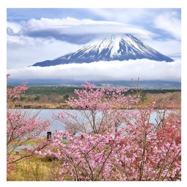 Tokyo: Mount Fuji Private Day Tour Comfortable Pickup & Drop - The Sum Up
