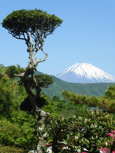 Tokyo: Mount Fuji Private Tour By Car With Hotel Pick Up - Important Information