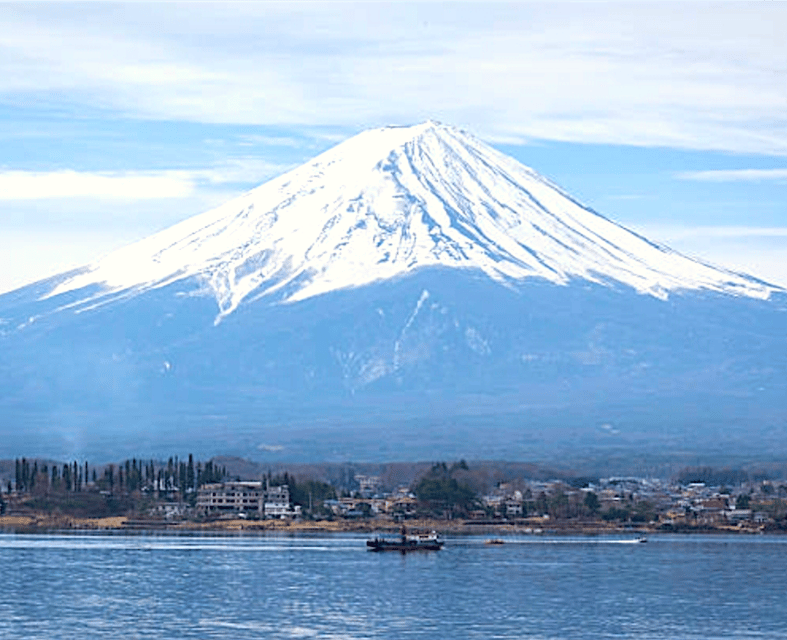 Tokyo: Mount Fuji Tour and Hakone Sakura Cherry Blossom Trip - Important Information and Tips