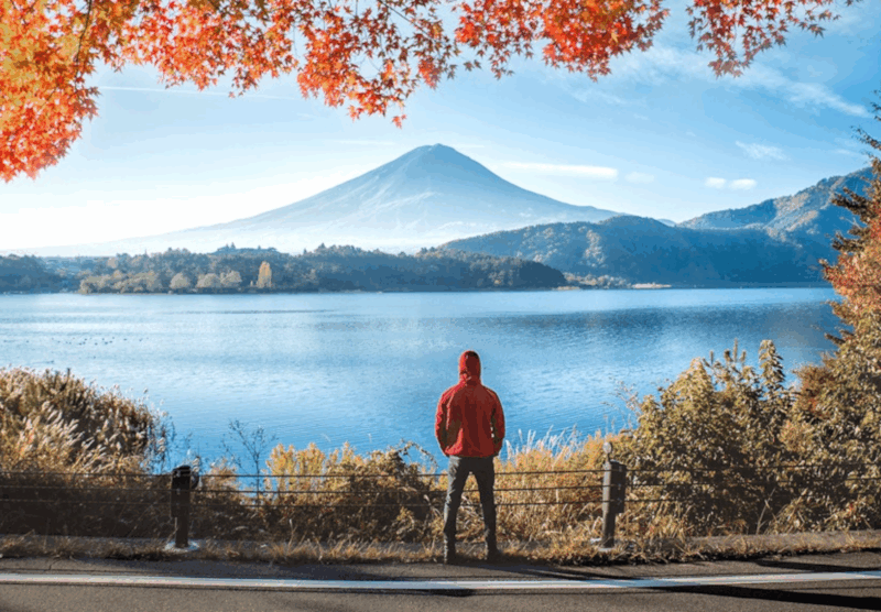 Tokyo: Mount Fuji Tour and Hakone Sakura Cherry Blossom Trip - Oshino Hakkai Village