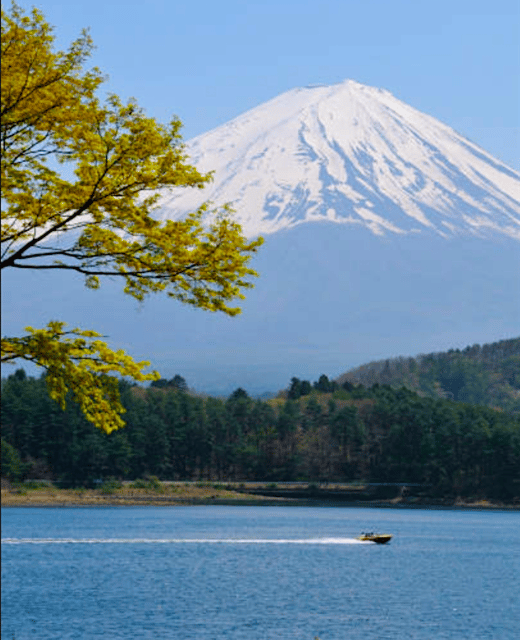 Tokyo: Mount Fuji Tour and Hakone Sakura Cherry Blossom Trip - Frequently Asked Questions