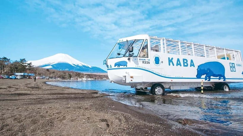 Tokyo: Mount Fuji Views and KABA Amphibious Bus Day Tour - The Practicalities