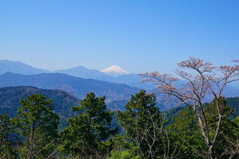 Tokyo: Mount Takao Guided Hiking Tour - Inclusions