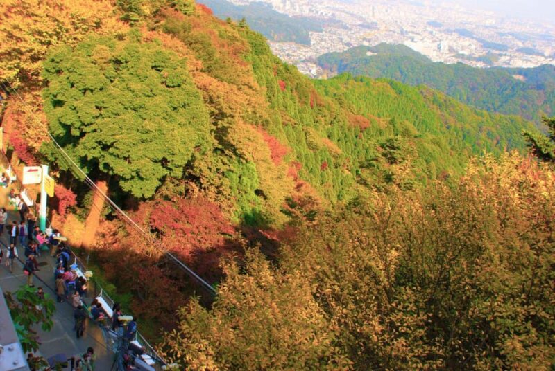 Tokyo: Mount Takao Guided Hiking Tour - Important Guidelines