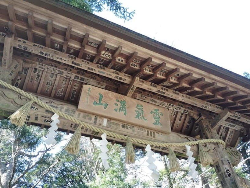 Tokyo: Mount Takao Guided Tour - Why This Tour Offers Great Value