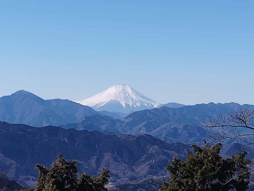 Tokyo: Mount Takao Guided Tour - Who Should Consider This Tour?