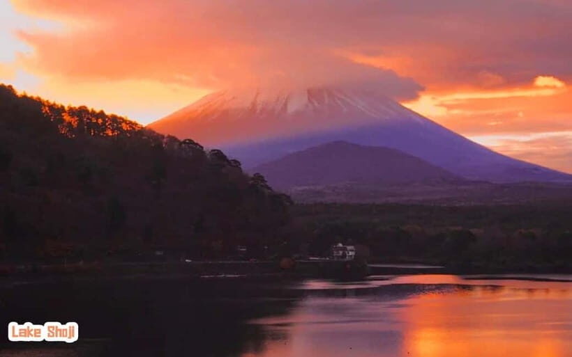 Tokyo: Mt Fuji 3 Lakes Day Trip | 9-Guest Small Group - Who Should Take This Tour?