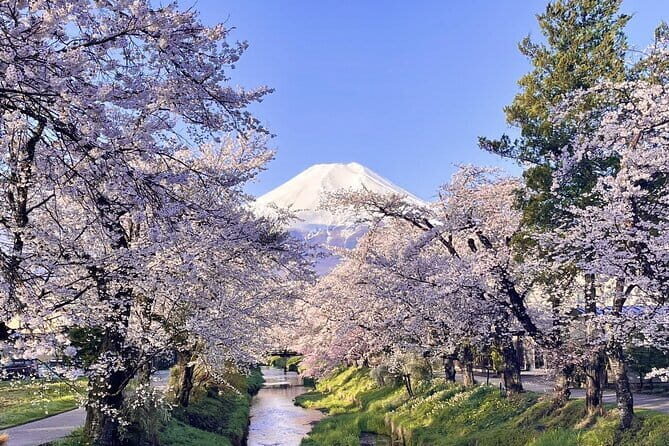 Tokyo: Mt. Fuji 5th Station Oshino Hakkai, Outlet& HotSpring Trip - Pricing & Value