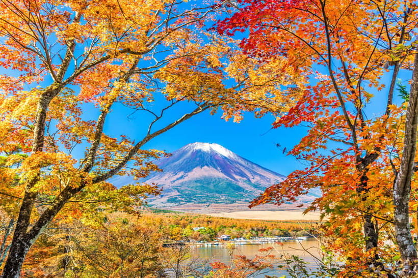 Tokyo: Mt Fuji 6 Scenic Spots - Lake Yamanaka, Oshino Hakkai - Key Points