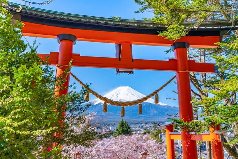 Tokyo: Mt Fuji 6 Scenic Spots - Lake Yamanaka, Oshino Hakkai - Who Will Enjoy This Tour?