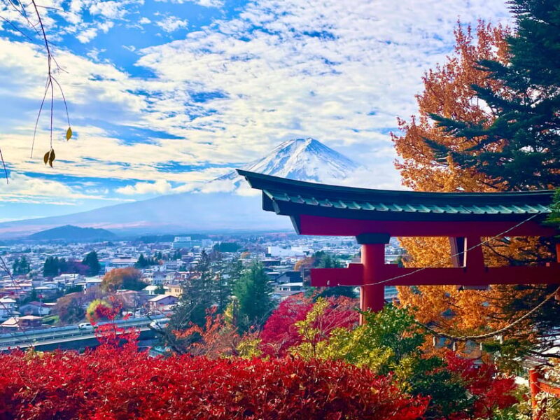 Tokyo: Mt. Fuji and Hakone Day Trip With Lake Ashinoko - Key Points