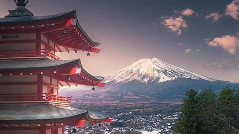 Tokyo: Mt Fuji and Hakone Full Day Private Sightseeing Tour - Tour Features