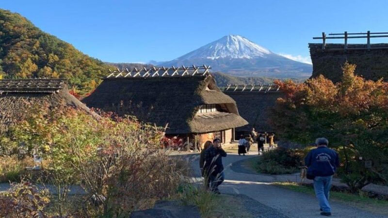 Tokyo: Mt Fuji and Hakone Full Day Private Sightseeing Tour - Restrictions