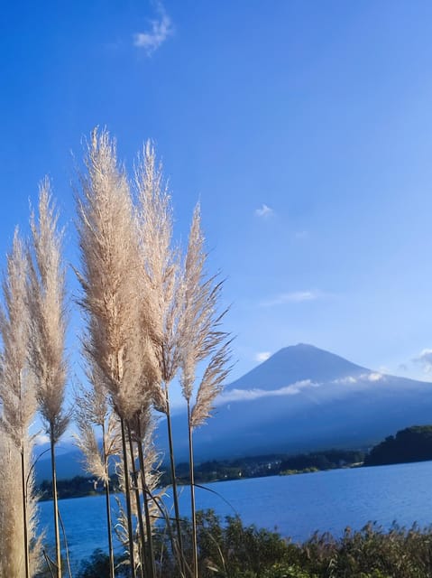 Tokyo: Mt Fuji and Hakone Full Day Private Sightseeing Tour - Oshino Hakkai