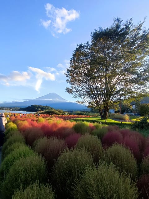 Tokyo: Mt Fuji and Hakone Full Day Private Sightseeing Tour - Gotemba Premium Outlets