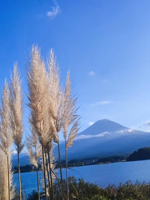 Tokyo: Mt Fuji and Hakone Full Day Private Sightseeing Tour - Frequently Asked Questions