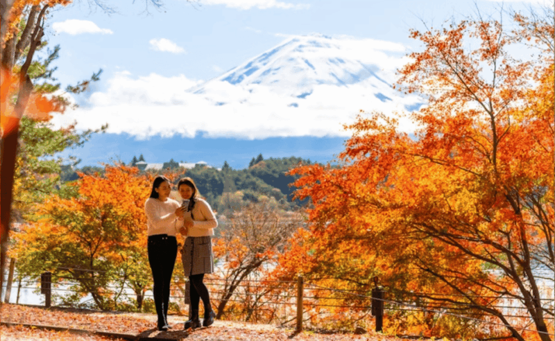 Tokyo: Mt. Fuji and Hakone Tour With English Speaking Driver - Optional Sites