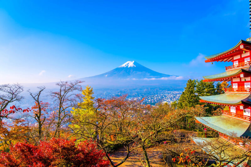 Tokyo: Mt. Fuji and Hakone Tour With English Speaking Driver - Customization and Flexibility