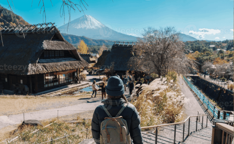 Tokyo: Mt. Fuji and Hakone Tour With English Speaking Driver - Accessibility and Comfort