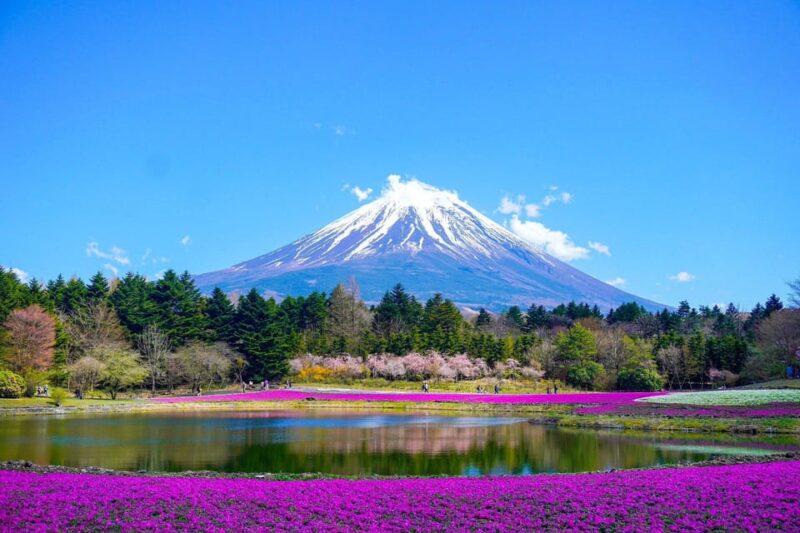 Tokyo: Mt. Fuji and Hakone Tour With English Speaking Driver - Reviews and Ratings