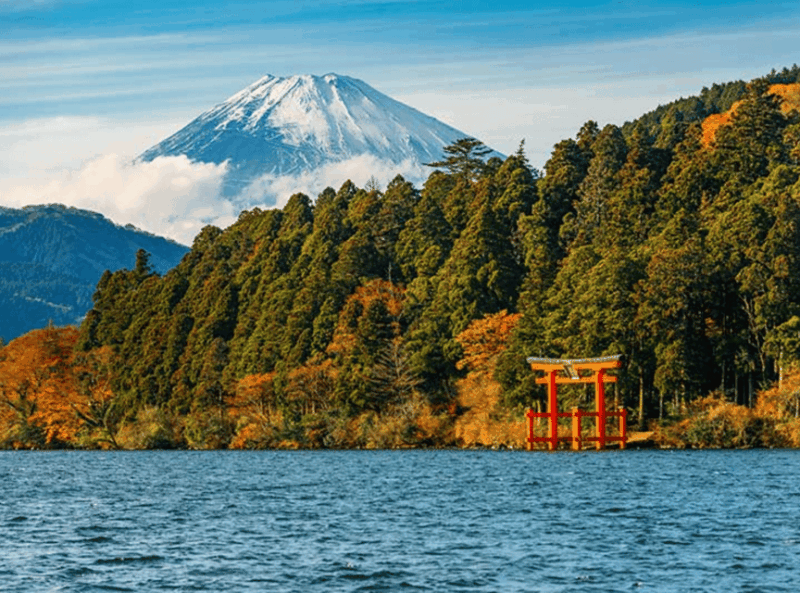Tokyo: Mt. Fuji and Hakone Tour With English Speaking Driver - Booking and Cancellation Policy