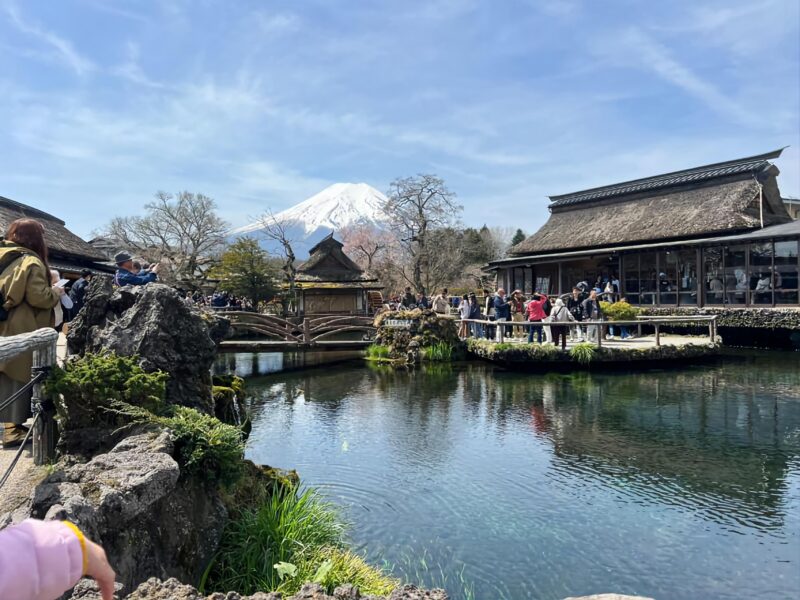 Tokyo: Mt. Fuji and Hakone Tour With English Speaking Driver - Frequently Asked Questions