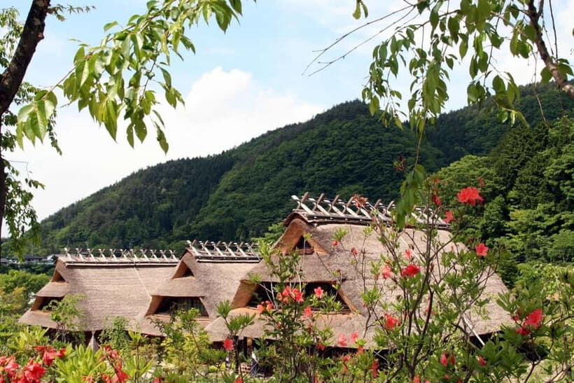 Tokyo: Mt.Fuji and Lake Kawaguchiko Tour with Lunch - Key Points