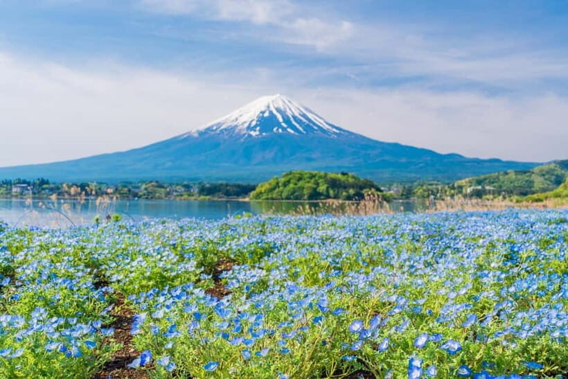 Tokyo: Mt. Fuji, Arakurayama Sengen Park, Oshino Hakkai Tour - FAQ
