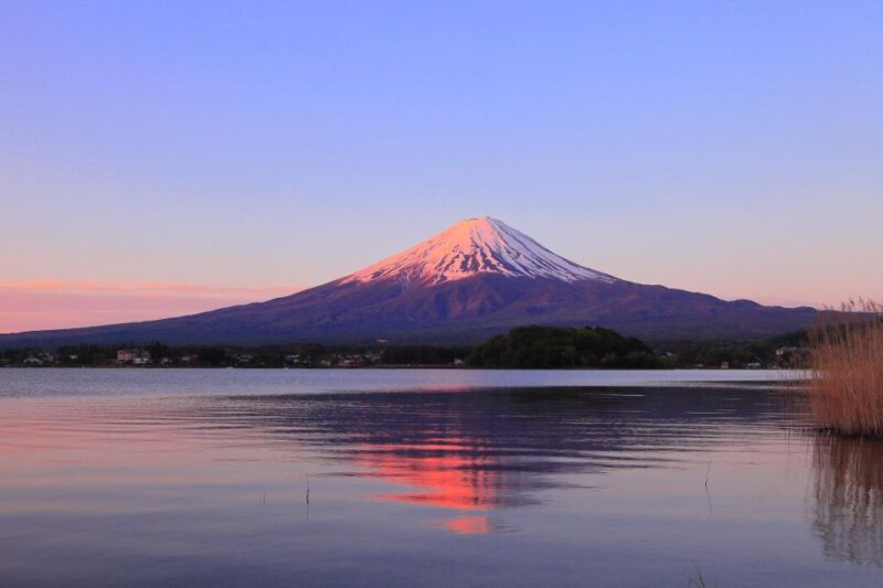Tokyo: Mt Fuji Area Guided Tour With Traditional Lunch - Enjoying the Scenic Views of Lake Kawaguchi