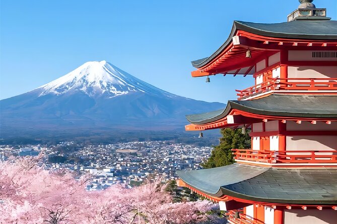 Tokyo: Mt.Fuji Area, Oshino Hakkai & Kawaguchi Lake Day Trip - Accessibility and Requirements