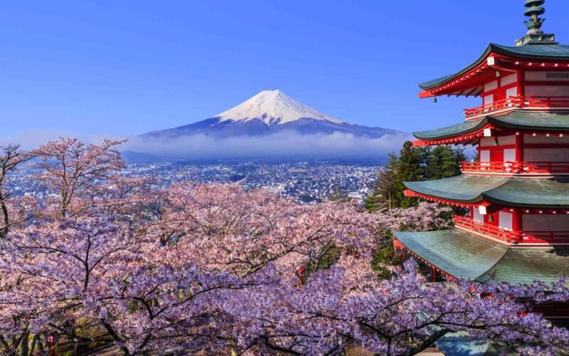 Tokyo: Mt. Fuji & Hakone Cherry Blossoms Private Day Tour - Itinerary Highlights