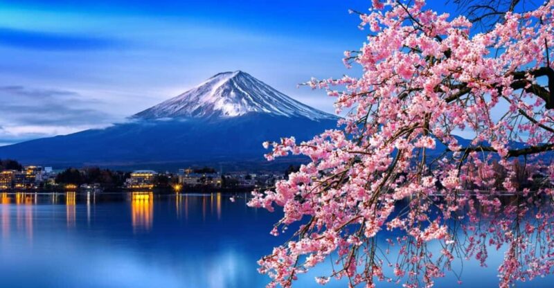 Tokyo: Mt. Fuji & Hakone Cherry Blossoms Private Day Tour - Nature and Scenery