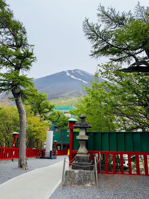 Tokyo: Mt. Fuji & Hakone Cherry Blossoms Private Day Tour - Cultural Sites