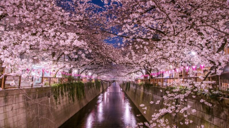 Tokyo: Mt. Fuji & Hakone Cherry Blossoms Private Day Tour - Shopping