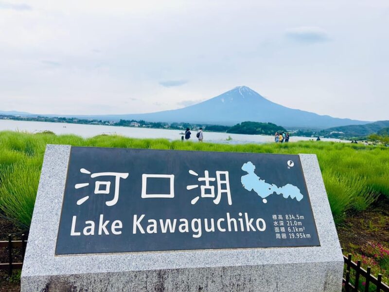 Tokyo: Mt. Fuji & Hakone Cherry Blossoms Private Day Tour - Inclusions