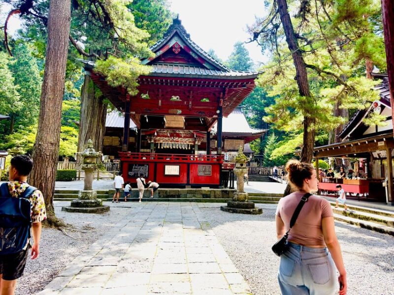 Tokyo: Mt. Fuji & Hakone Cherry Blossoms Private Day Tour - Customer Reviews