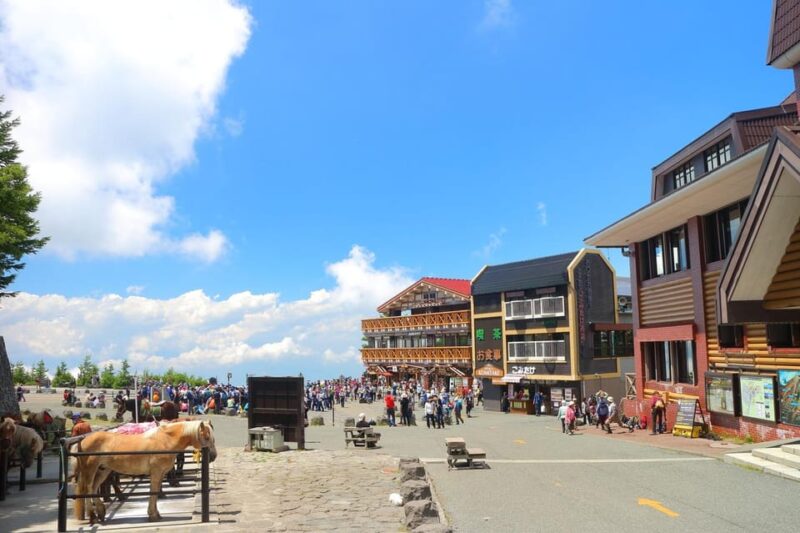 Tokyo: Mt. Fuji & Hakone Day Trip With Cable Car & Cruise - Included Features