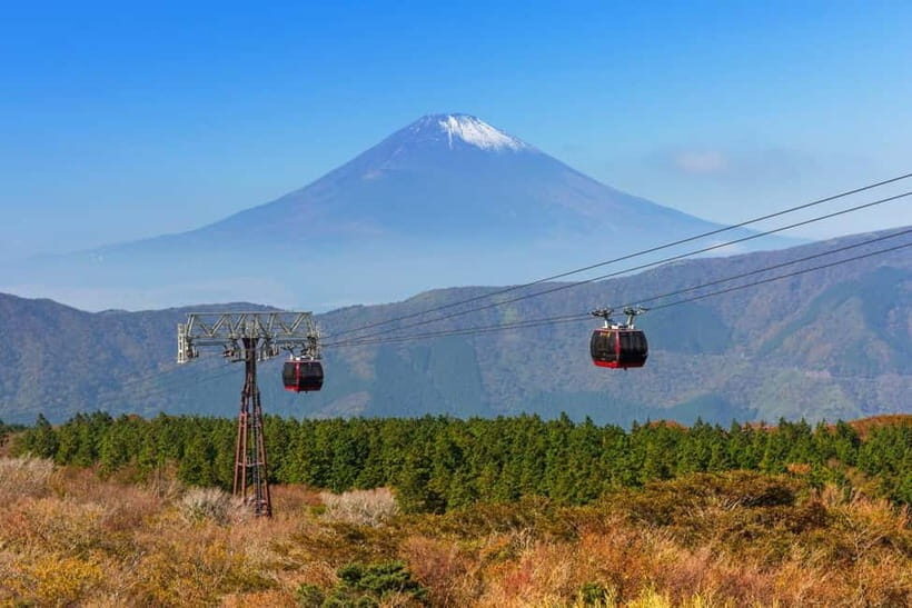Tokyo: Mt. Fuji & Hakone, FREE Pirate Ship & Ropeway - Authentic Experiences and Genuine Value