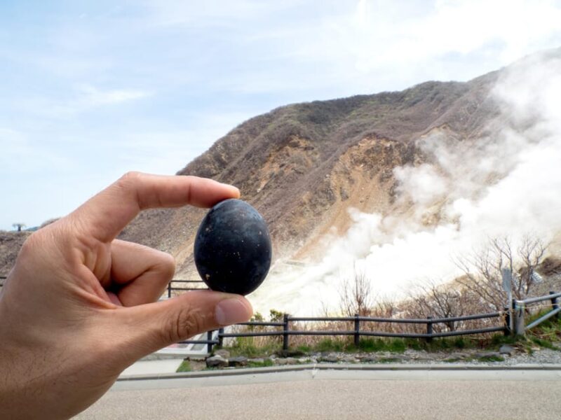 Tokyo: Mt.Fuji, Hakone & Open-Air Musuem or Oshino Hakkai - Important Information