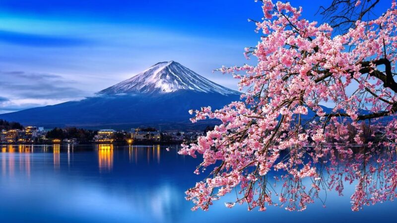 Tokyo: Mt Fuji & Hakone Private Tour English-Speaking Driver - Included Services