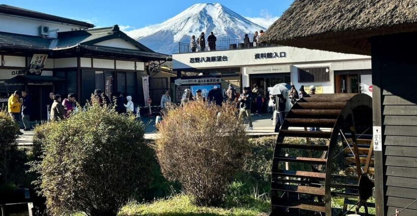 Tokyo: Mt. Fuji & Hakone Private Tour with Outlet Shopping - A Scenic Journey from Tokyo to Mt. Fuji and Hakone