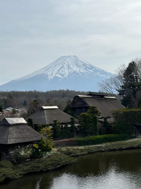 Tokyo: Mt. Fuji & Hakone Private Tour with Outlet Shopping - Returning to Tokyo and Final Thoughts