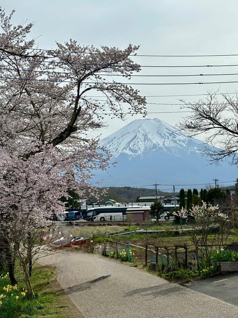 Tokyo: Mt. Fuji & Hakone Private Tour with Outlet Shopping - Is This Tour Right for You?