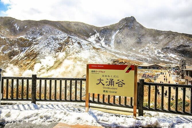 Tokyo Mt. Fuji Hakone Shrine, Owakudani, Lake Yamanakai Day Tour - Introduction to the Tour