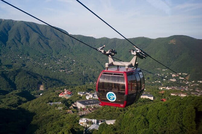 Tokyo Mt. Fuji Hakone Shrine, Owakudani, Lake Yamanakai Day Tour - The Practicalities: What to Expect