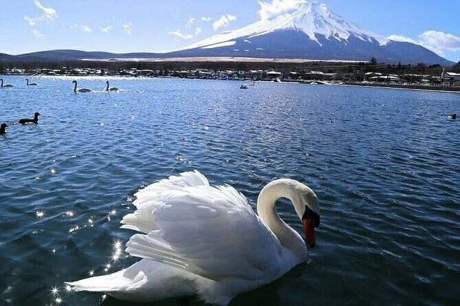 Tokyo Mt. Fuji Hakone Shrine, Owakudani, Lake Yamanakai Day Tour - Final Thoughts: Who Should Take This Tour?