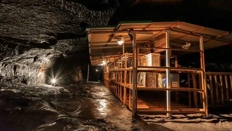 Tokyo: Mt. Fuji Hidden Gems and Aokigahara Forest Tour - Key Points