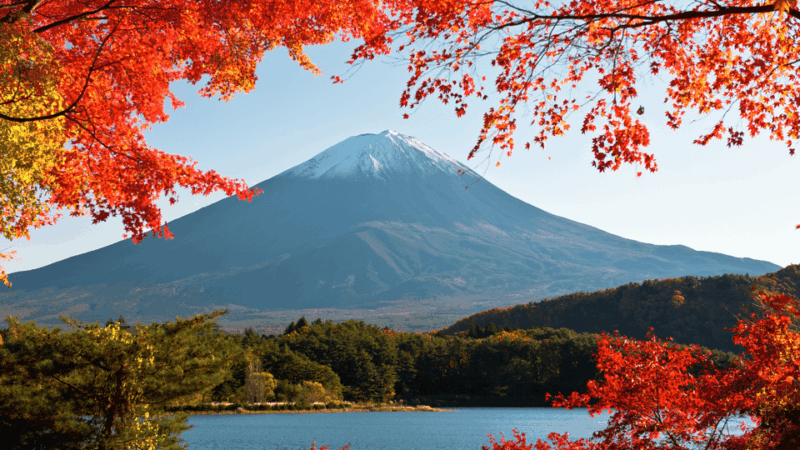 Tokyo: Mt. Fuji Hidden Gems and Aokigahara Forest Tour - Oishi Park: Scenic Photo Stop