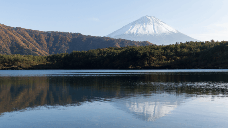 Tokyo: Mt. Fuji Hidden Gems and Aokigahara Forest Tour - Tatego-Hama Beach: Coastal Exploration